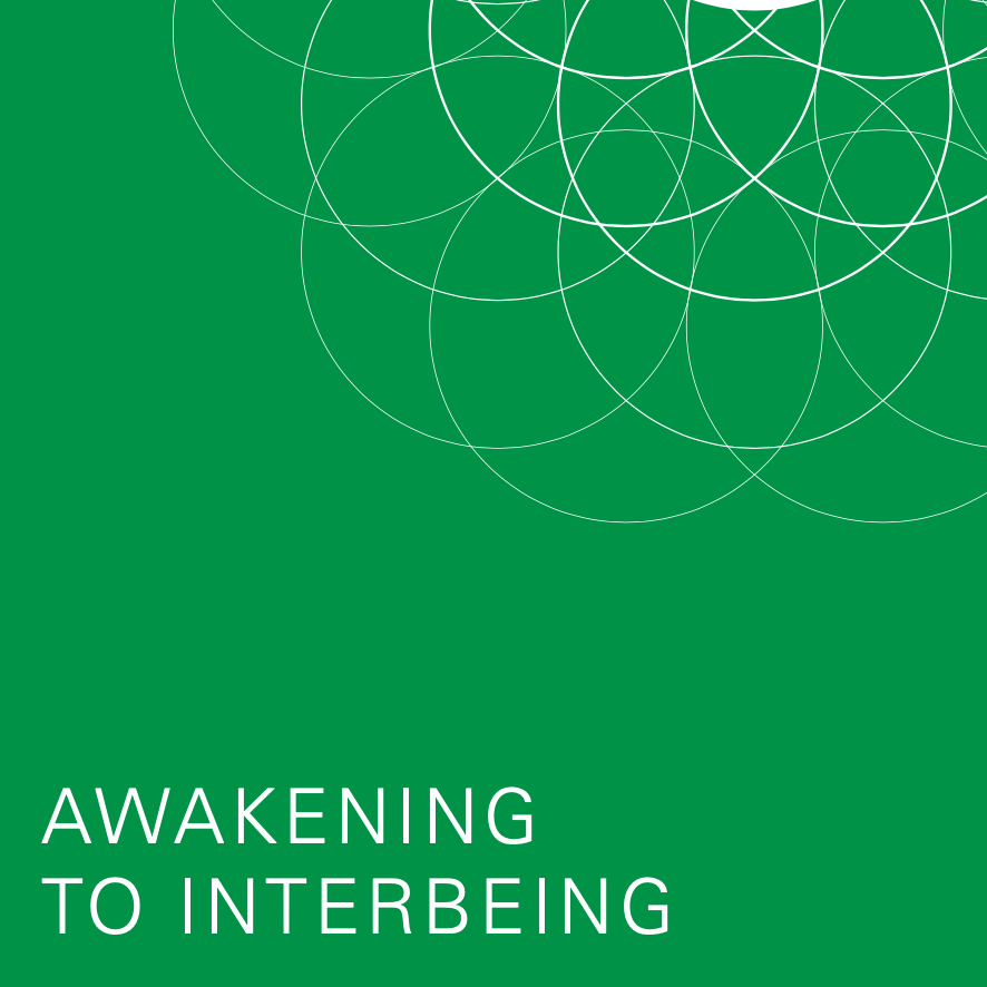 International Walking Meditation: Awakening to Interbeing - Plum Village UK